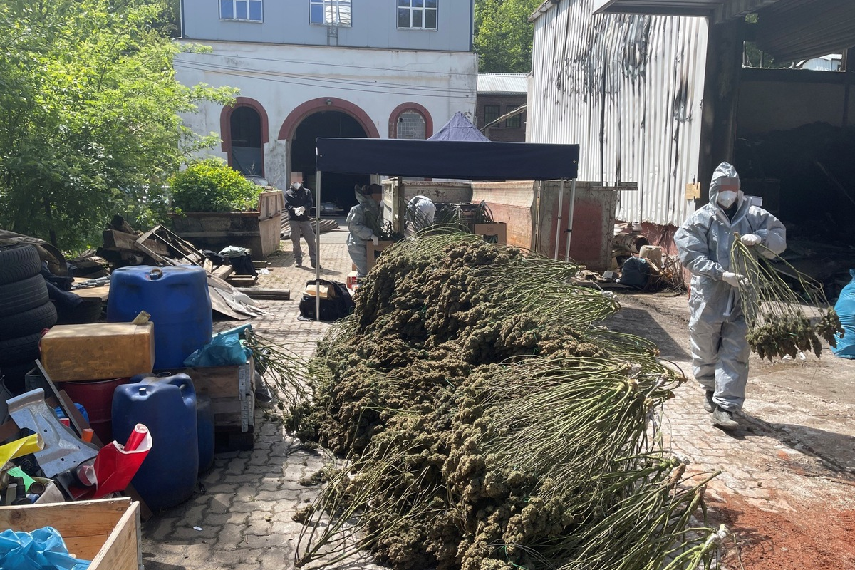 Polizei baut illegale Cannabisplantage aus Brandobjekt ab -#polsiwi