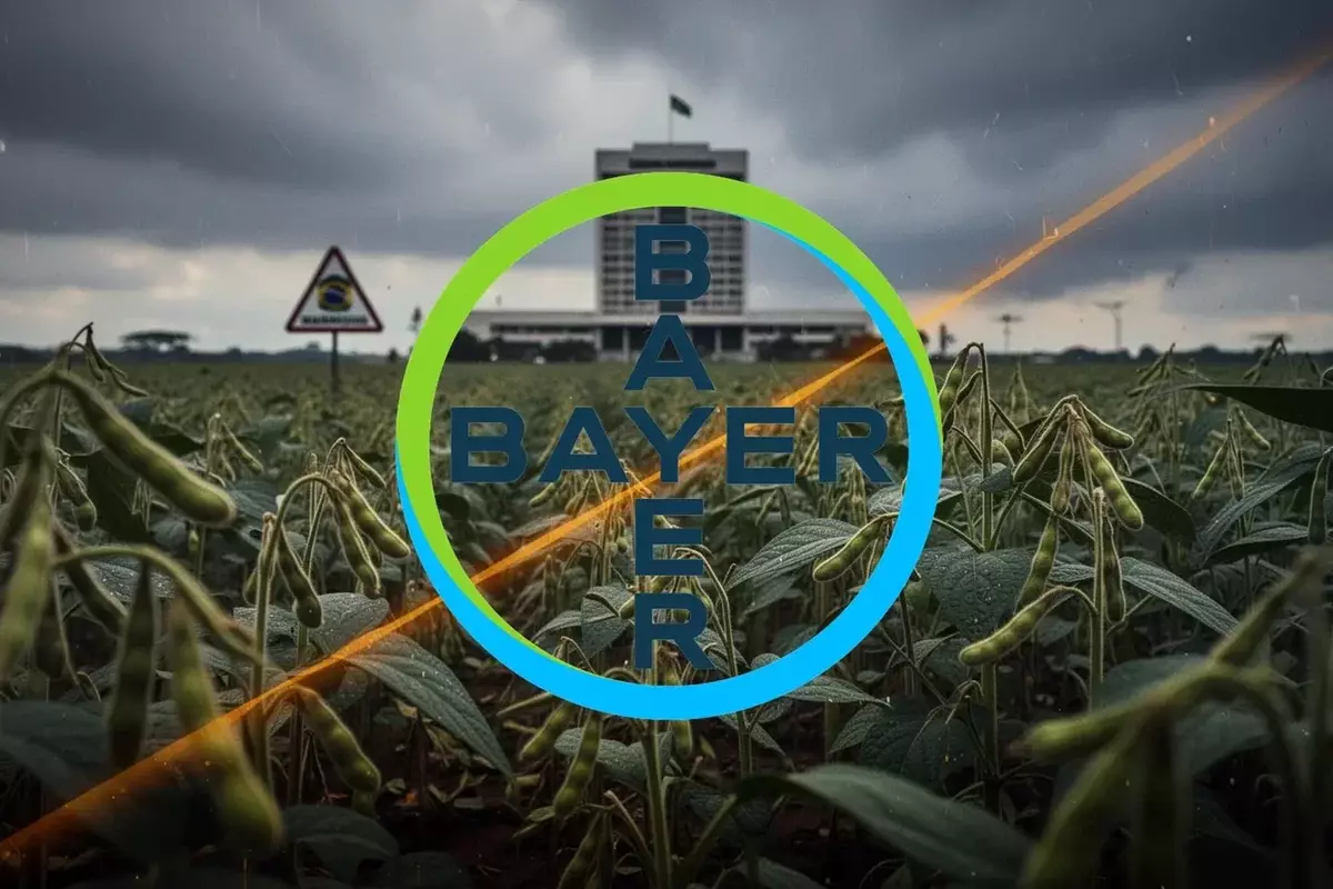 Bayer Stock Breaks Above a Key Technical Level as Investors Weigh ...