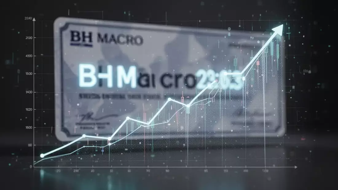 BH Macro Aktie: Stetige Rückkäufe