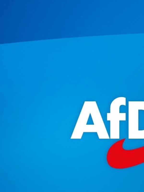 Der AfD-Programmentwurf für die Bundestagswahl 2025 ist fertig