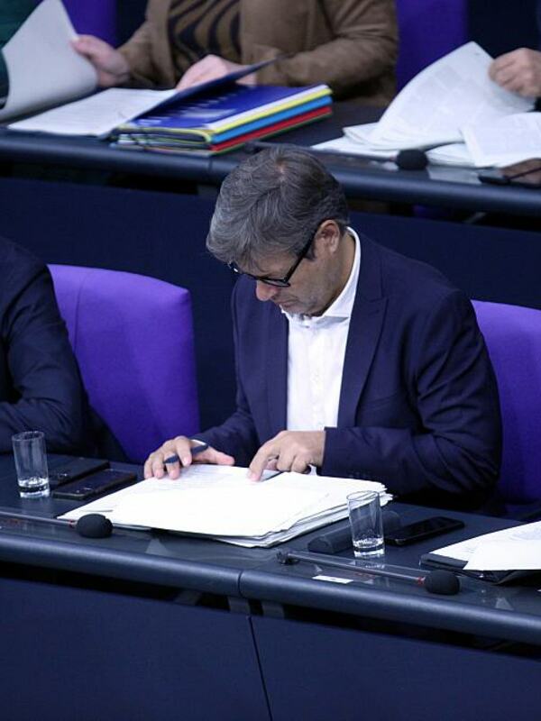 Der stellvertretende FDP-Fraktionsvorsitzende Michael Link warnt seine ...