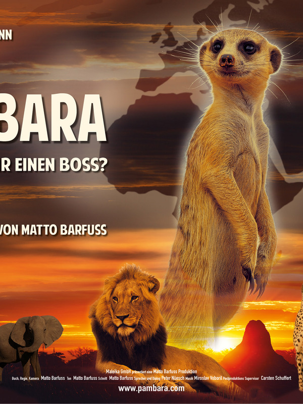 Basel/Chur - Diese Woche startet ein ganz besonderer Kinofilm in der ...