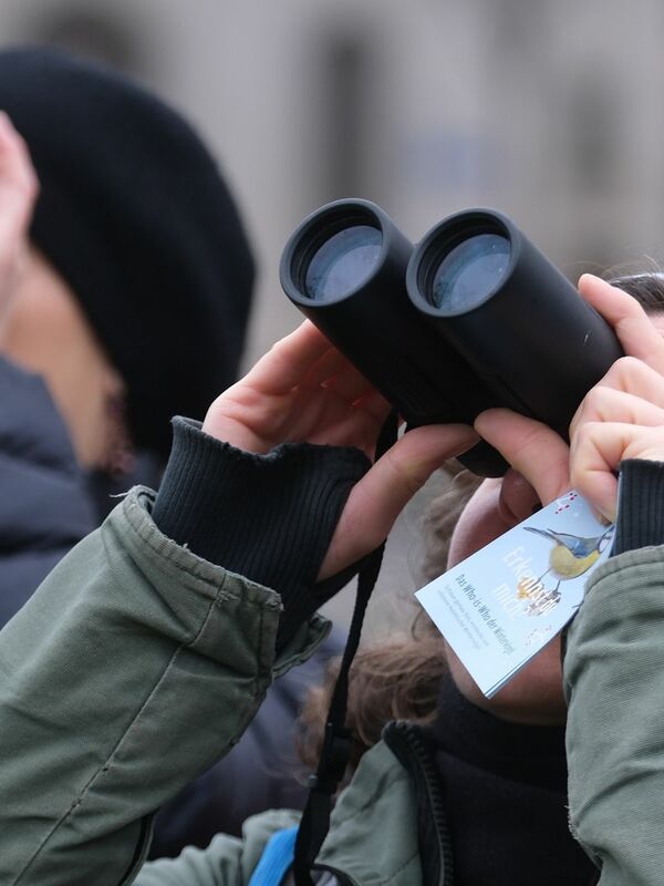 Vögel zu beobachten ist ein beliebter Zeitvertreib - und kann ...