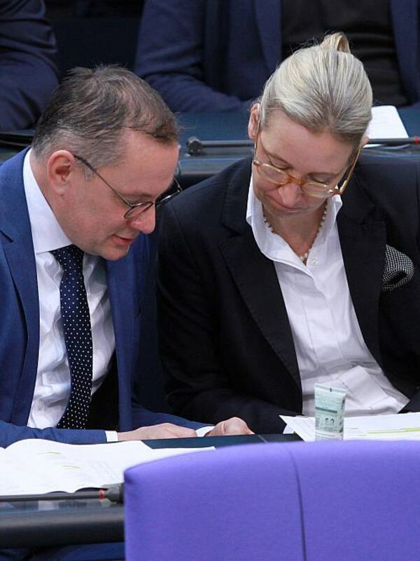 AfD-Politiker haben es nach Beobachtung des Hamburger Politikberaters ...