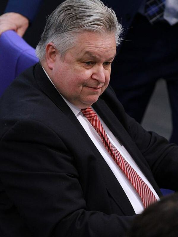 Michael Link, stellvertretender Vorsitzender der FDP-Fraktion im ...