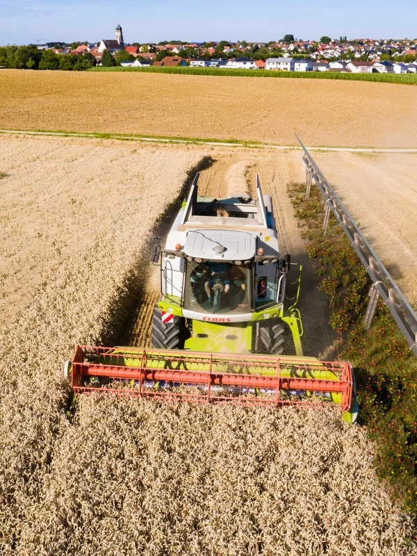 Sonne und Acker: Agri-PV als Chance für Energie- und Landwirtschaft