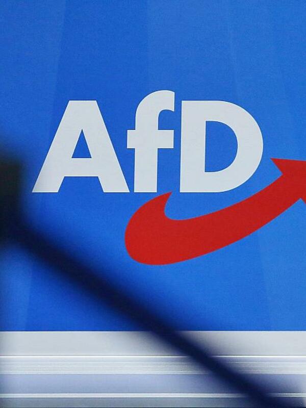 Nach dem Parteitag der AfD im sächsischen Riesa werben führende ...