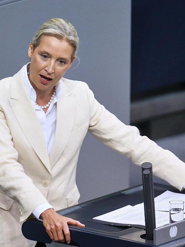 AfD-Chefin Alice Weidel hat Bundeskanzler Friedrich Merz (CDU) in der ...