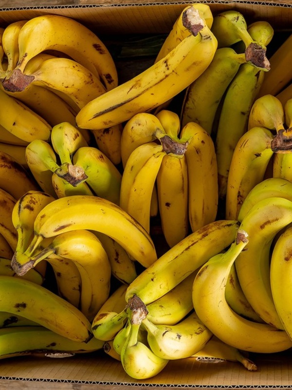 Neue ZDF-Reportage: Bananen – Genuss mit Beigeschmack