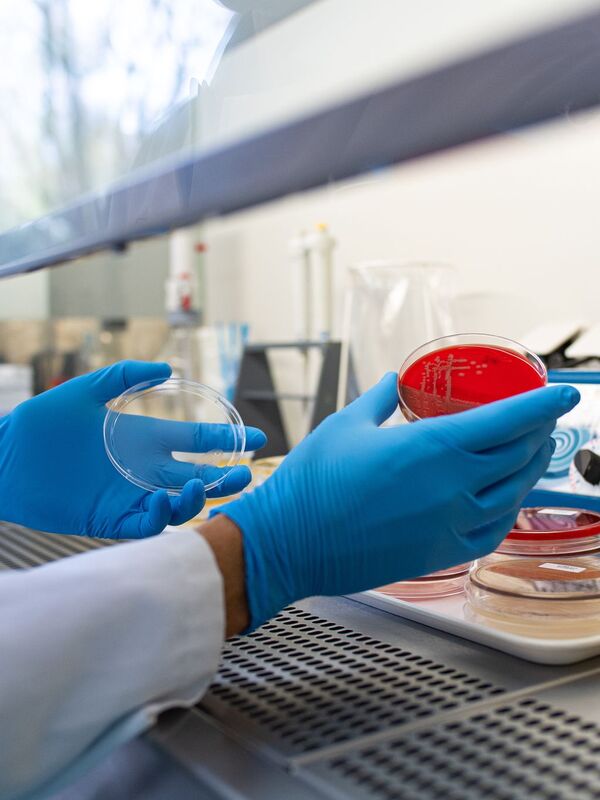 Die Zahl der Ehec-Infektionen in Mecklenburg-Vorpommern wächst weiter.