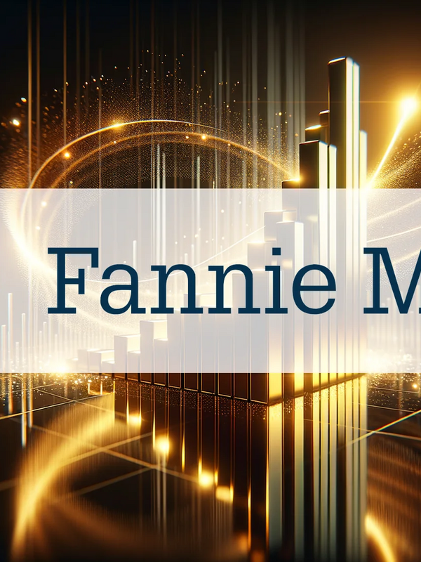 Fannie Mae Aktie: Konstante Herausforderungen?