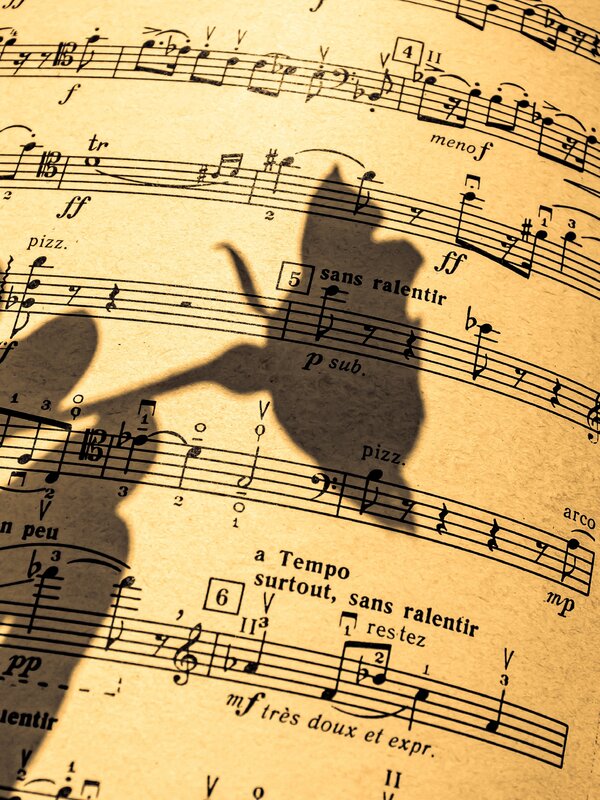 Madness Around Chris Ofili: Why These Paintings Are Pure Art Hype & Big ...