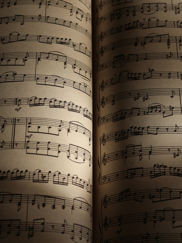 Catherine Opie Is Back in the Spotlight: Why Everyone Suddenly Cares ...