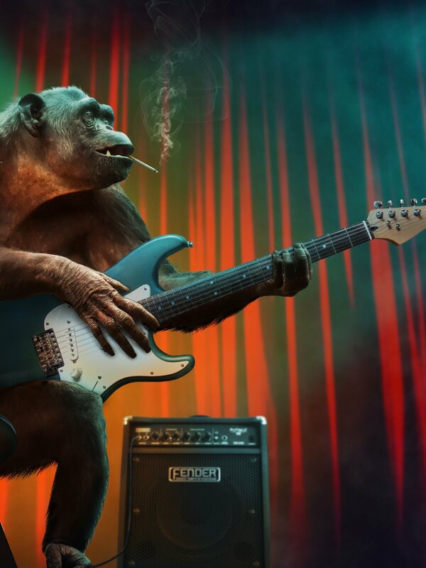 Phonak Hörgerät Review: The Hearing Aid Brand Everyone Is Suddenly ...