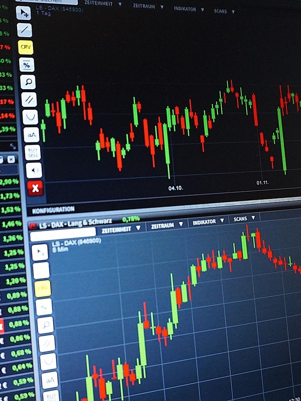 Zoetis stock: steady climber in a choppy healthcare market