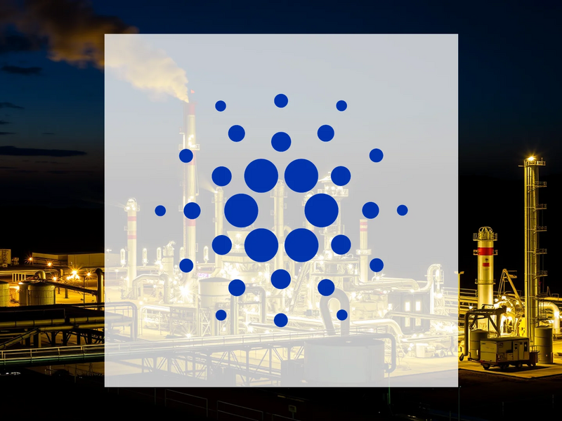 Cardano’s Contradiction: Institutional Growth Amidst Price Weakness