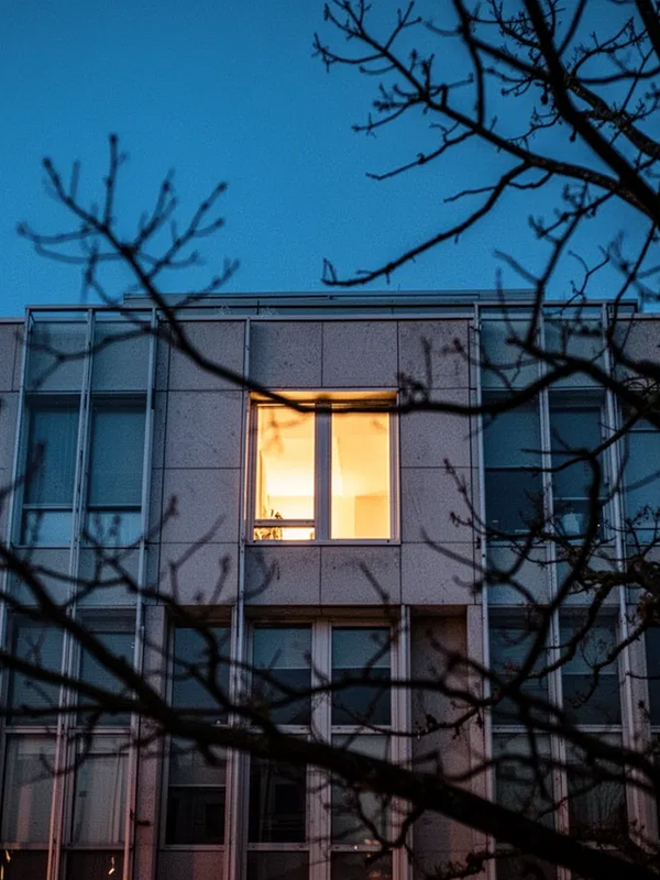 EUDR: Start verschoben, Regeln vereinfacht – Null-Risiko-Debatte bleibt